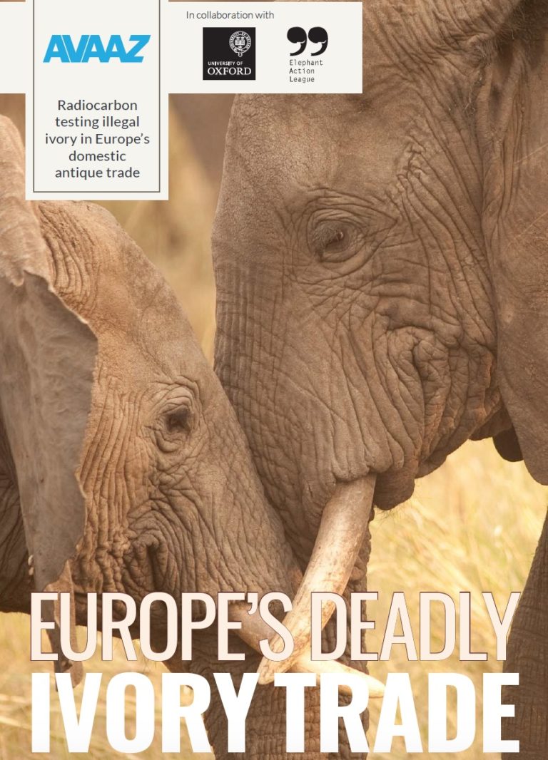 Illegal Ivory in Europe - A research by Earth League International