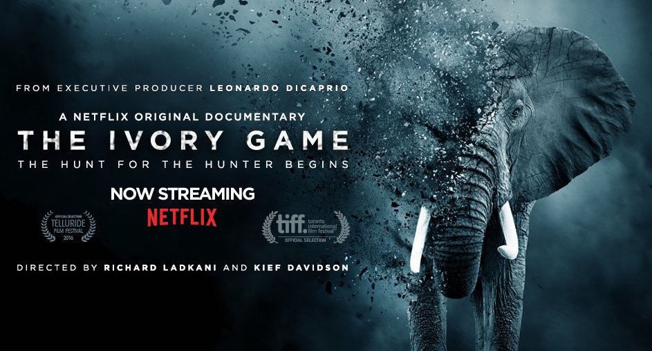 Earth League International - Media Production & Public Outreach