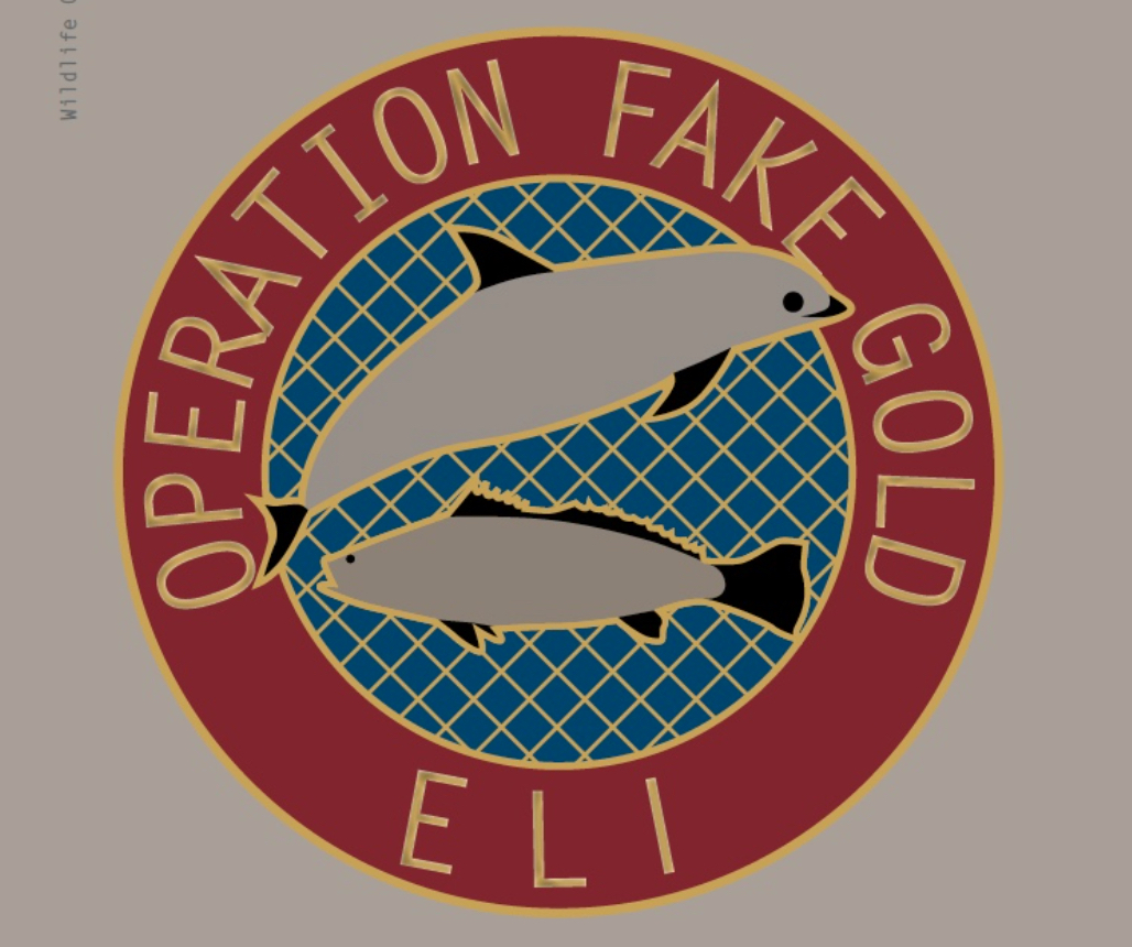 Vaquita - Operation Fake Gold