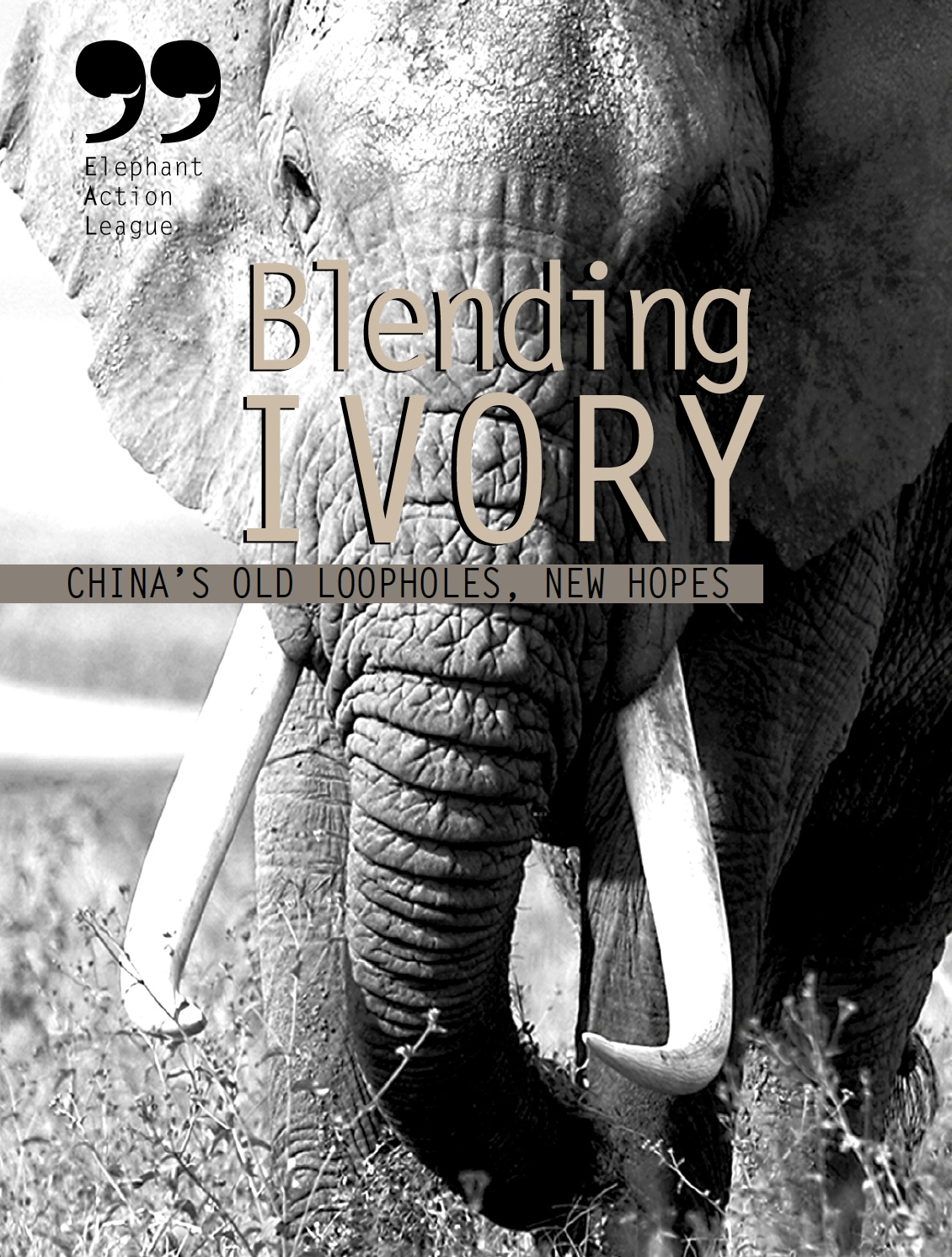 BLENDING IVORY: Ivory trafficking in China, Hong Kong & Vietnam - Earth ...