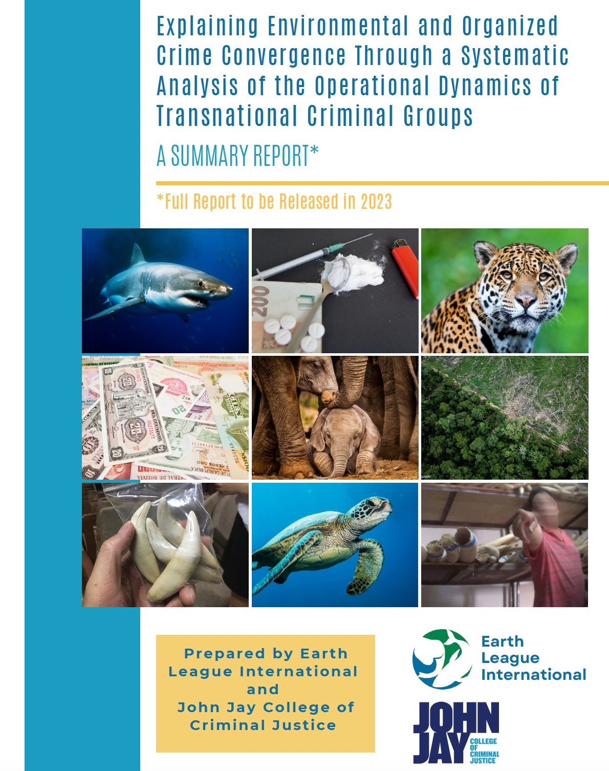 Environmental Crime Convergence Summary Report