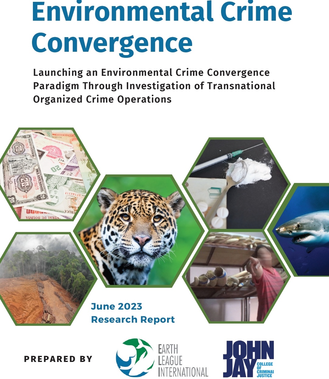 Environmental Crime Convergence: Investigative Report