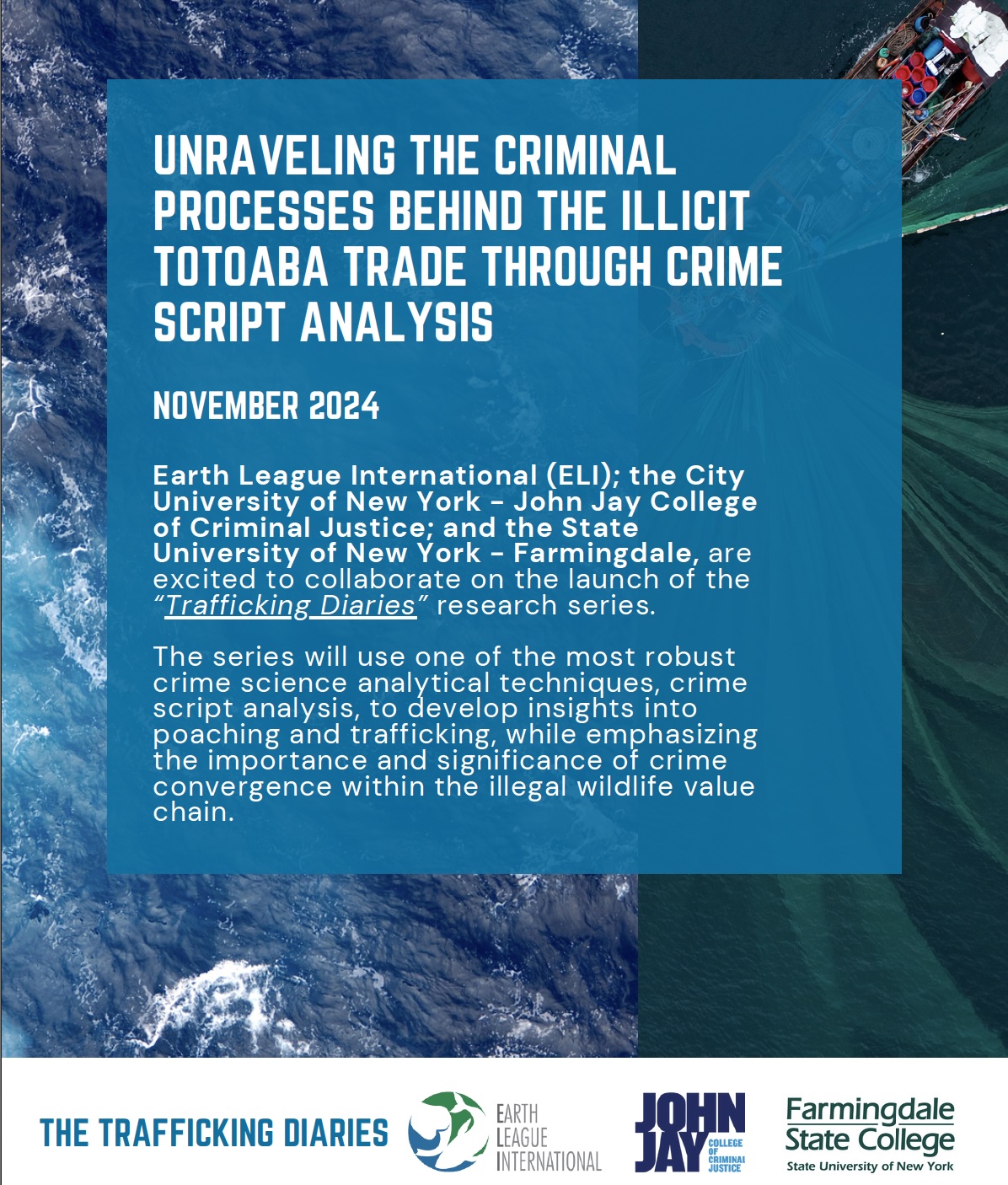 Vaquita Report: Unraveling the Criminal Processes Behind Totoaba ...